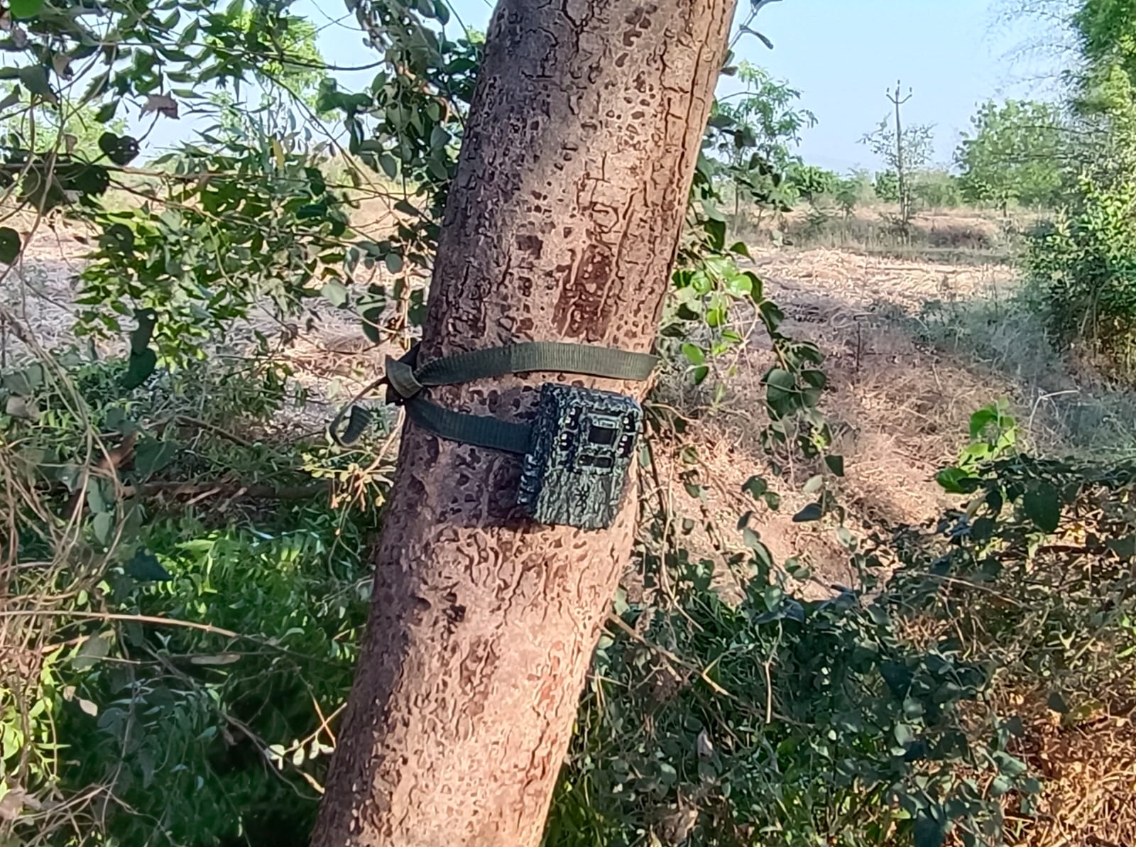 The people of Vand and surrounding areas of Tilakwada are urged not to ...