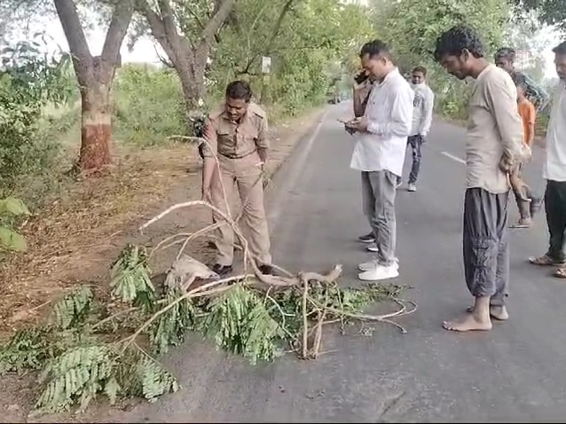 The old man's arm detached from his body and was thrown 15 feet away ...