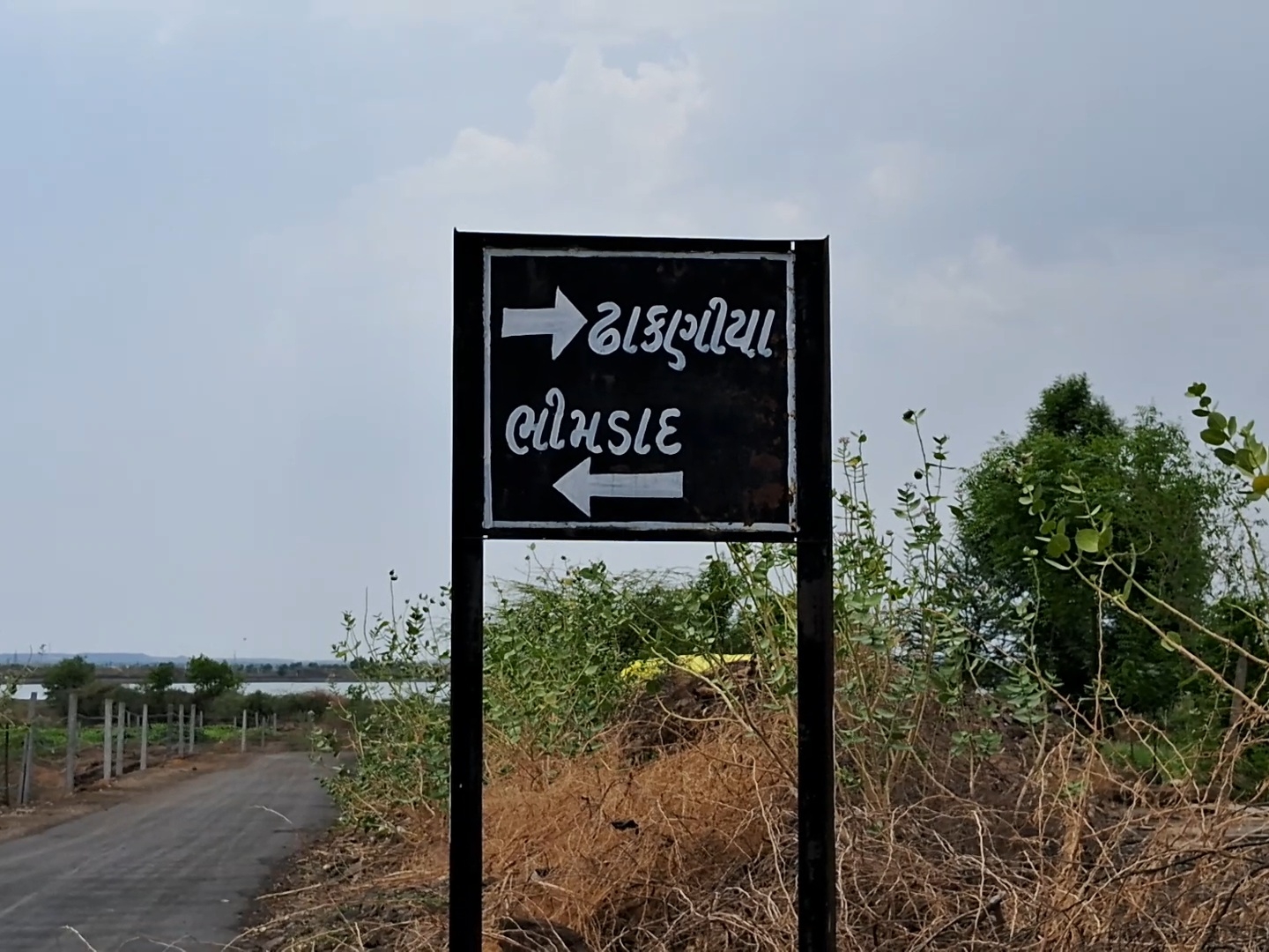 Damage to summer crops including sesame, jowar in Bhimdad village of ...