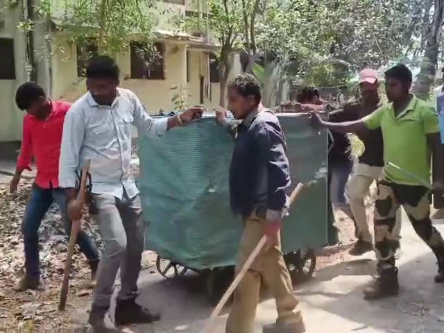 Forest department rescued two lion cubs from the residential area of ...