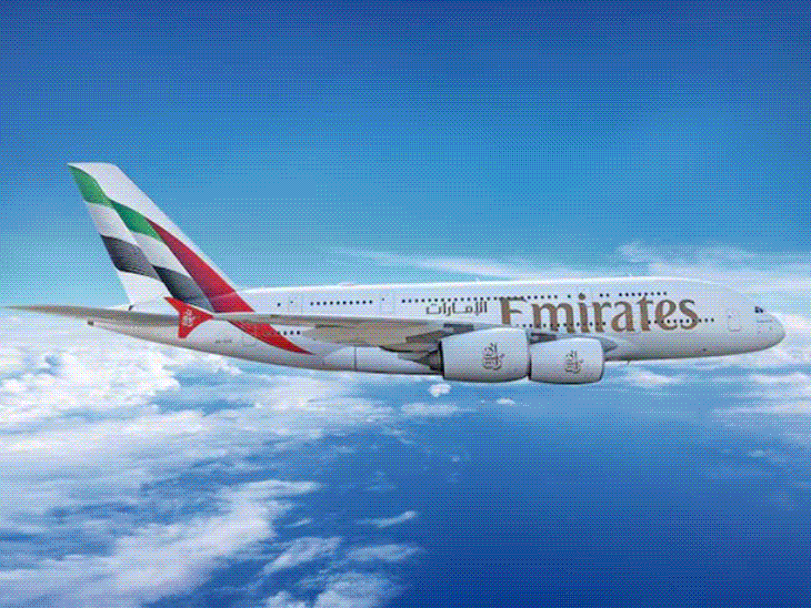 Mumbai Ghatkopar Flamingo Bird Death Reason| Emirates Flight EK 508 ...