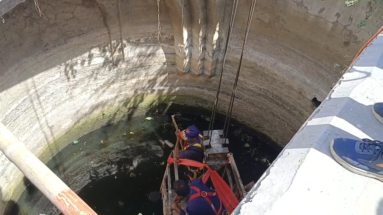 In Dabhoi, a youth tired of illness committed suicide by plunging into ...