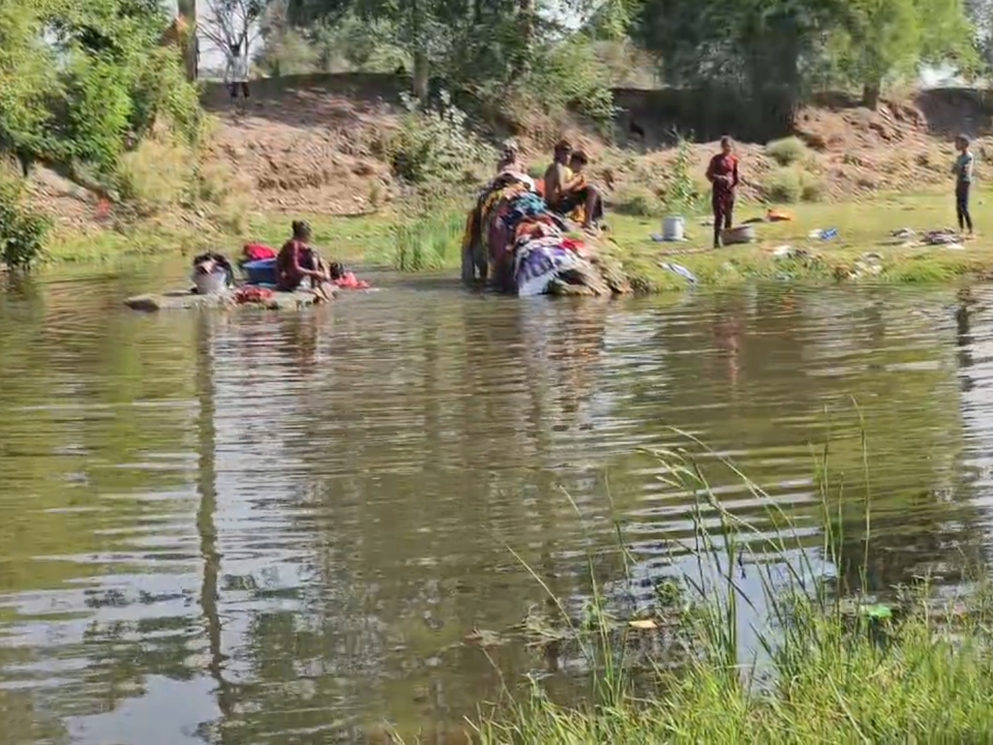 Latest Dahod News (દાહોદ સમાચાર): વાંચો 7 જૂન ના તાજા સમાચાર દિવ્ય ...