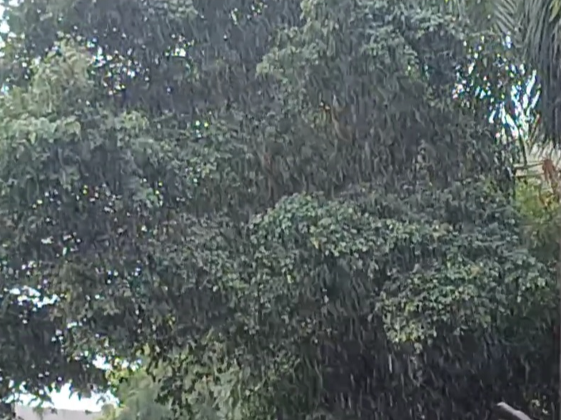 Since the last two days, the weather has cooled down in Surat city and ...