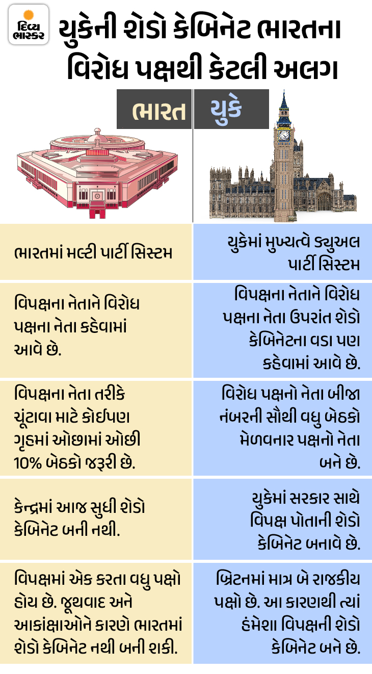 Bhaskar Explainer: Rahul Gandhi will be the country's 'Shadow PM'