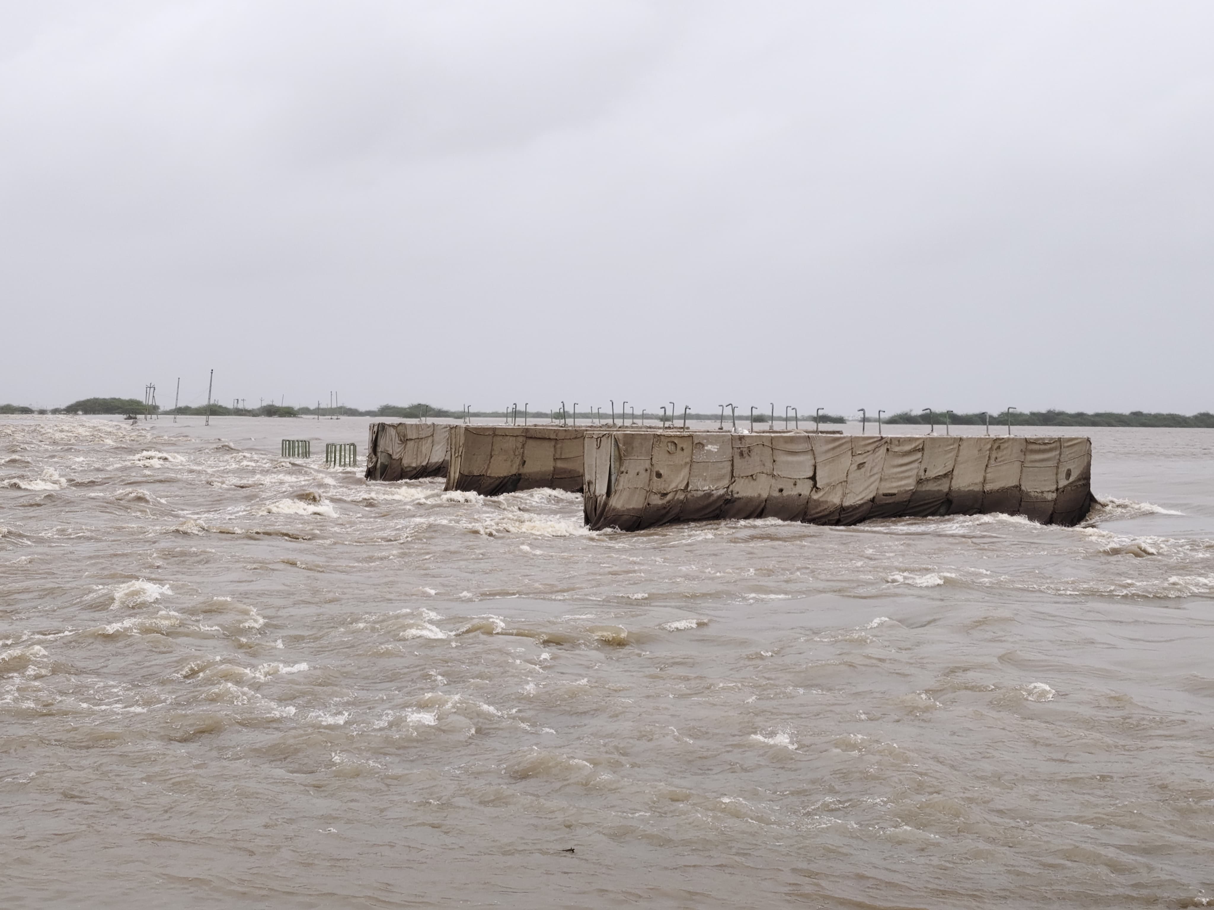 Water towards fodder in Ghed Panthak of Porbandar; The waters of the ...