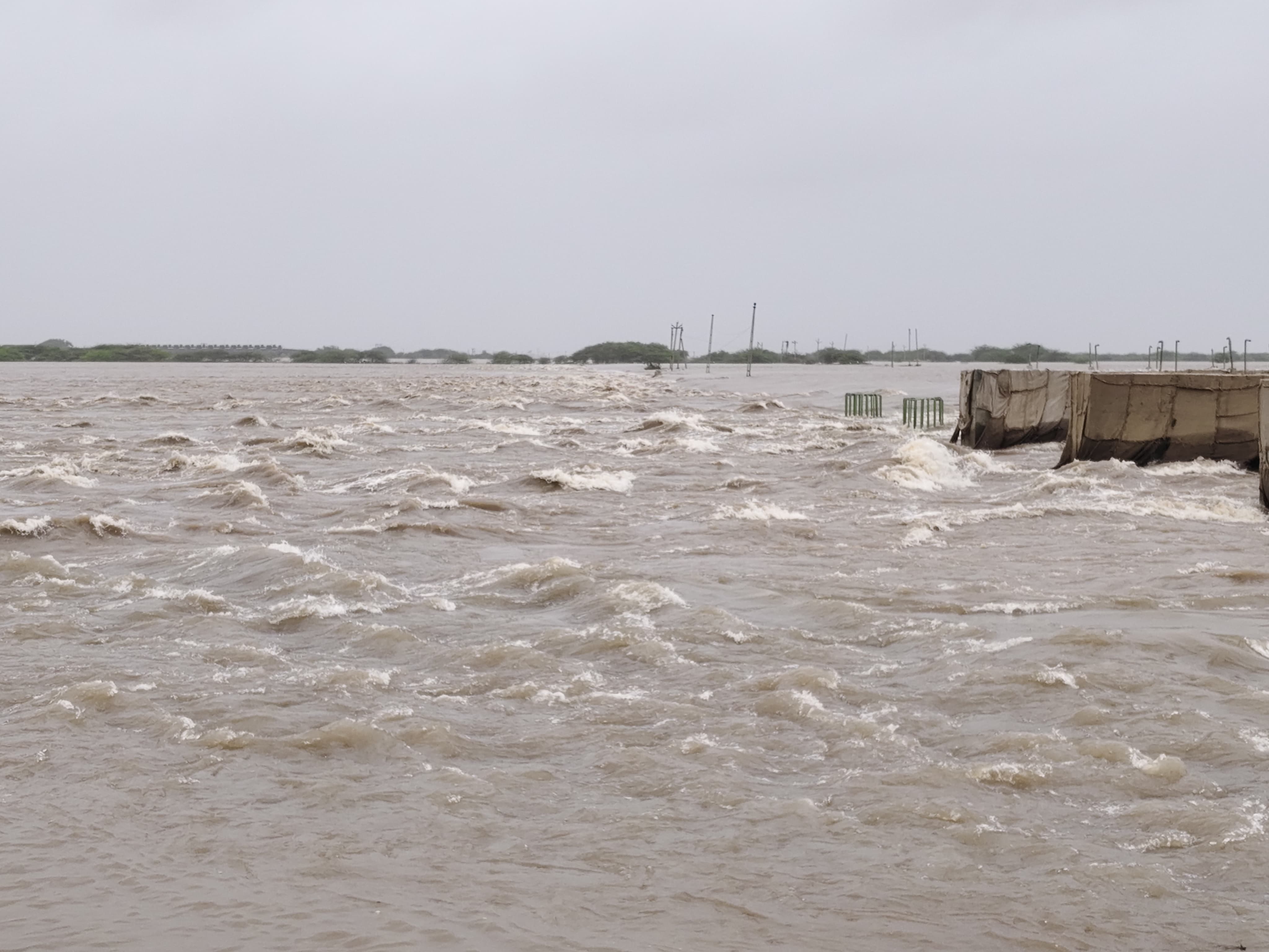 Water towards fodder in Ghed Panthak of Porbandar; The waters of the ...