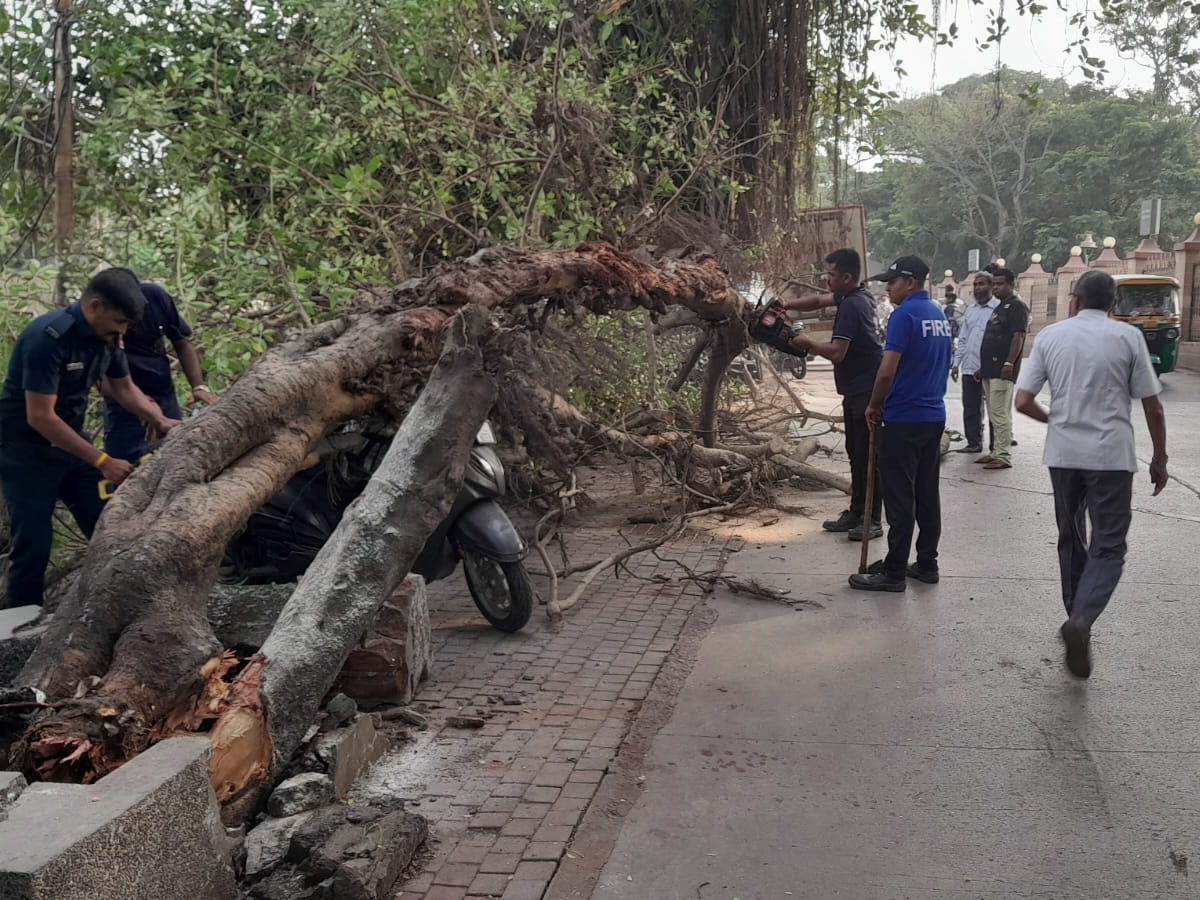 A scooter was crushed under a tree on the banks of a lake in Jamnagar ...