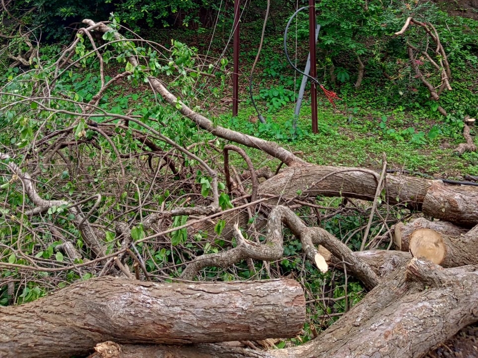Pankhla village in Dediyapada taluka was blackout for 15 days after a ...