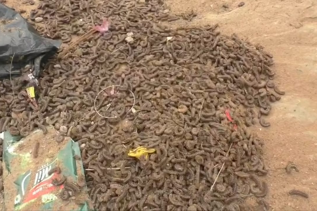 In villages including Sabosan of Patan, the trouble of villagers due to ...