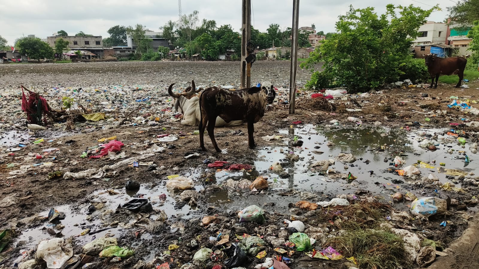Residents of more than 20 societies near Wasad chowkdi in Borsad forced ...