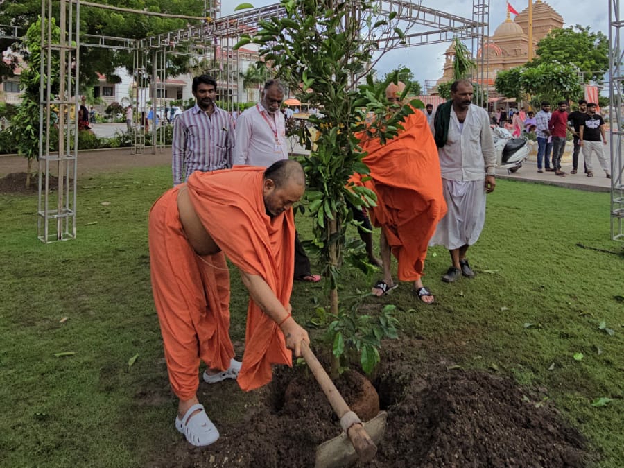 Tree plantation was done in Patangan of Shri Kastabhanjandev Hanumanji ...
