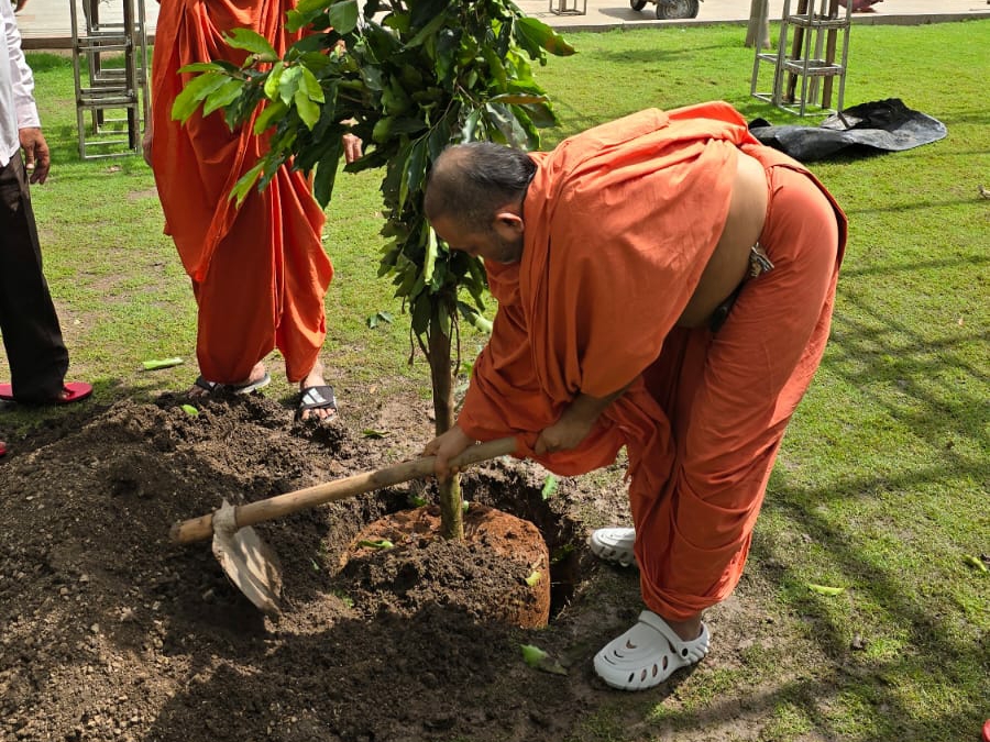 Tree plantation was done in Patangan of Shri Kastabhanjandev Hanumanji temple | વૃક્ષારોપણ: શ્રી ...