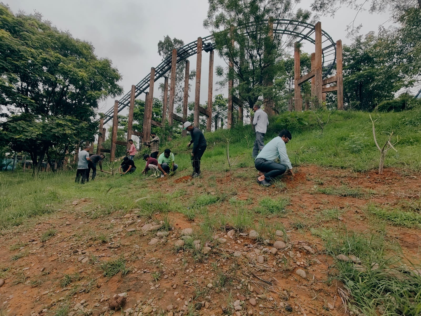 Green Global Brigade members plant trees to pay tribute to Kargil war ...