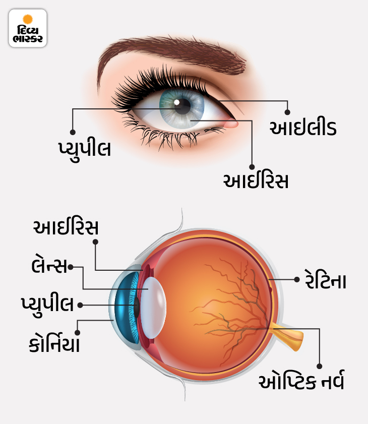 Jasmin Bhasin Eye Injury; Cornea Damage | Contact Lenses Side Effects ...