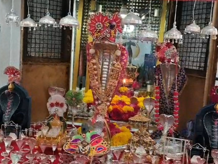 Nag Panchami celebration at Goga Maharaj Temple