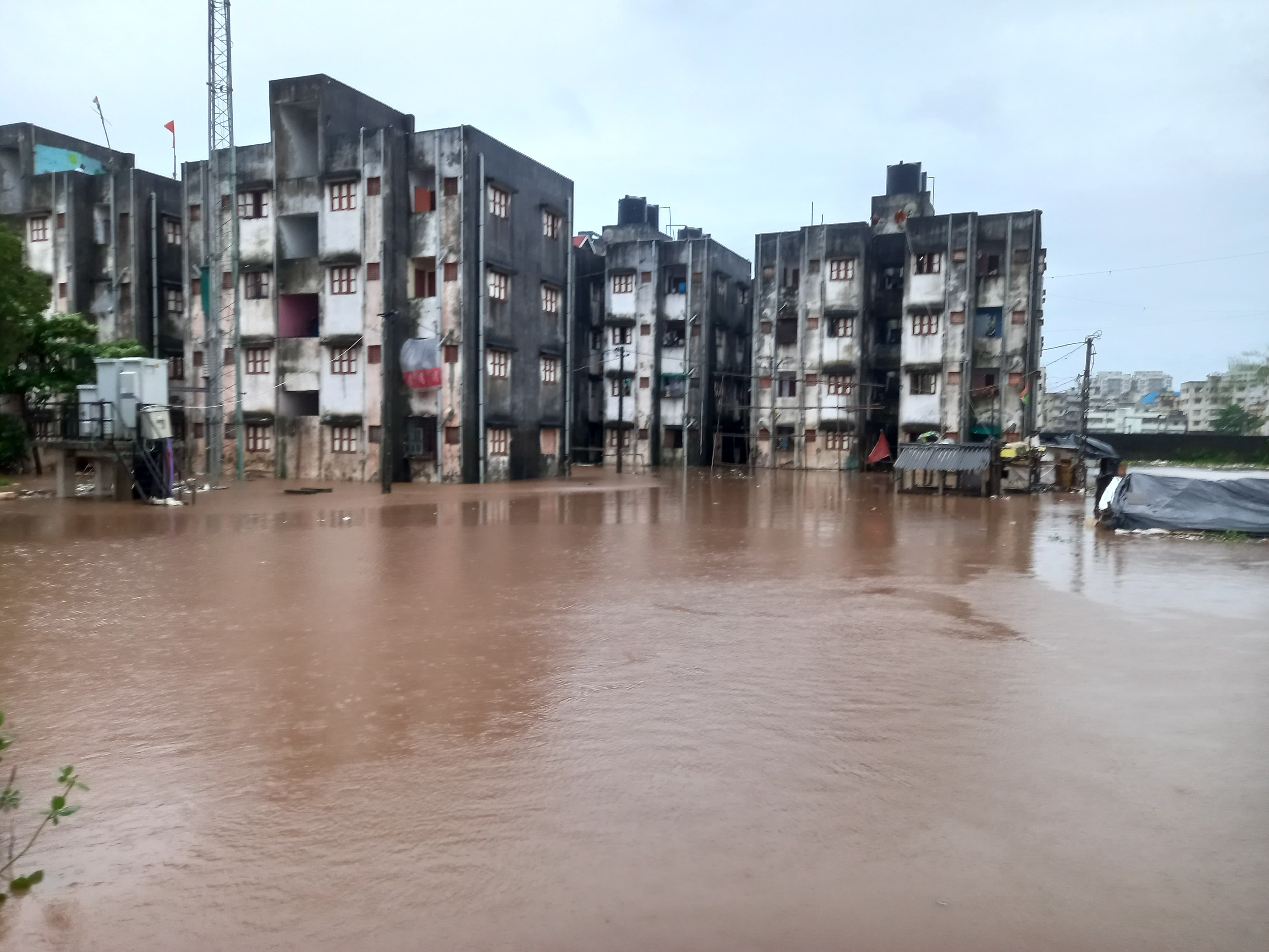 In Navsari, government colony area was flooded | પાણી ભરાવાની શરૂઆત ...