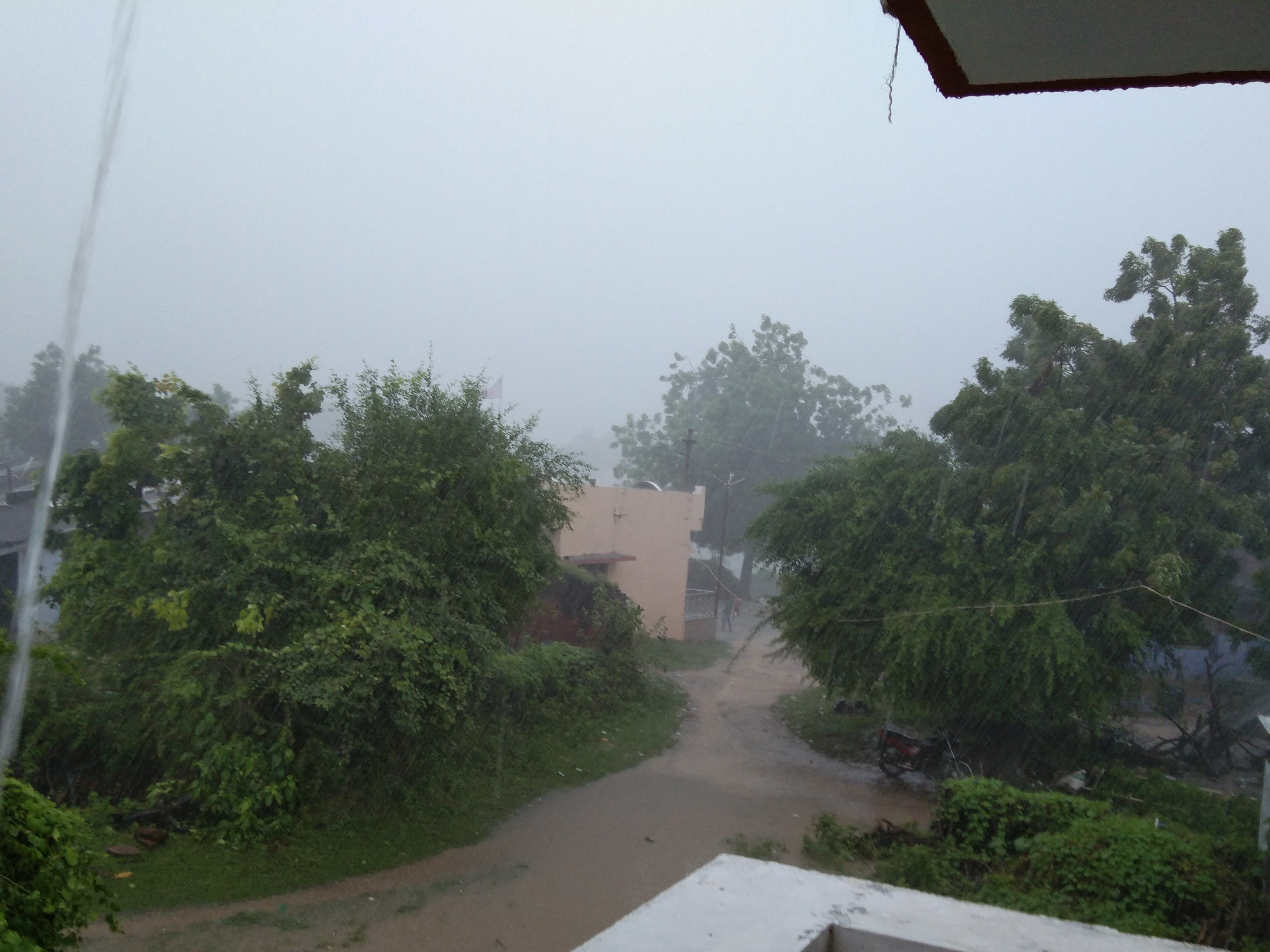 Life affected by rain in Kalol city and taluka