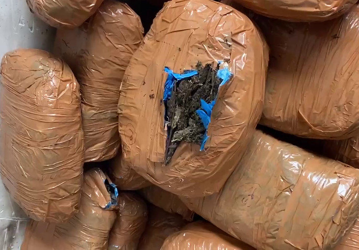 More than 200 kg of ganja-drugs came in trucks from Odisha | સપ્લાયરની ...