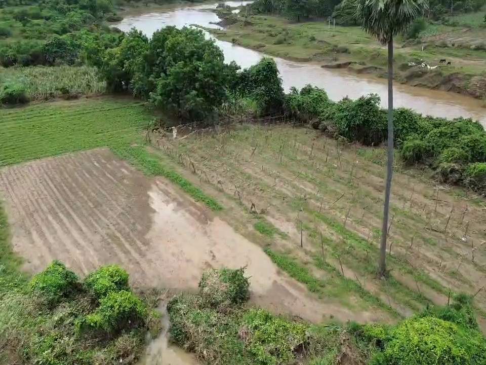 Keem river in Mangrol taluka diverted the labor of farmers; Most of the ...