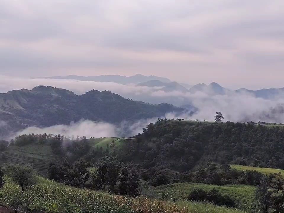 The immense beauty of nature is the Mango Hill of Kawant