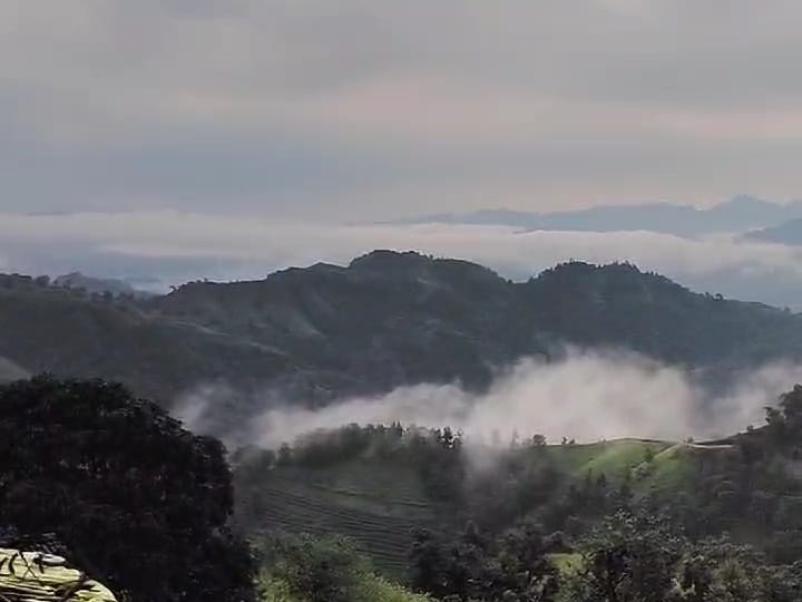 The immense beauty of nature is the Mango Hill of Kawant