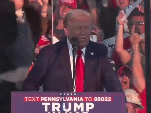 Musk with Trump on a bulletproof stage in Pennsylvania ...