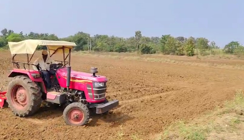 Planting was delayed due to late onset of winter, with pulses being the ...