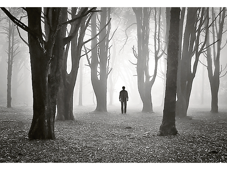 Upon achieving success, the shadow man, that is, the shadow, ceases to ...