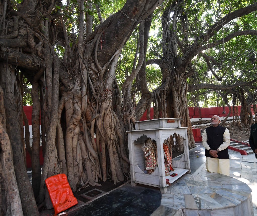 The story of the Akshayvat tree located in Akbar's fort | અકબરના ...