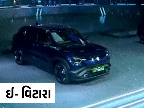 Auto Expo-2025: Maruti's first electric car will be launched