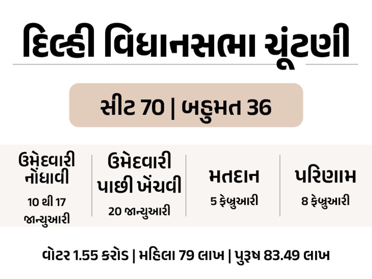 Delhi Elections- Shah launches Part-3 of Sankalp Patra | દિલ્હી ચૂંટણી ...