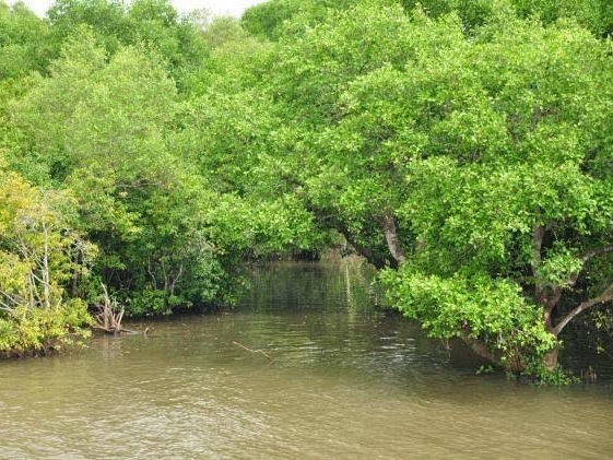 An area of 32 hectares became Gujarat's first biodiversity heritage site.