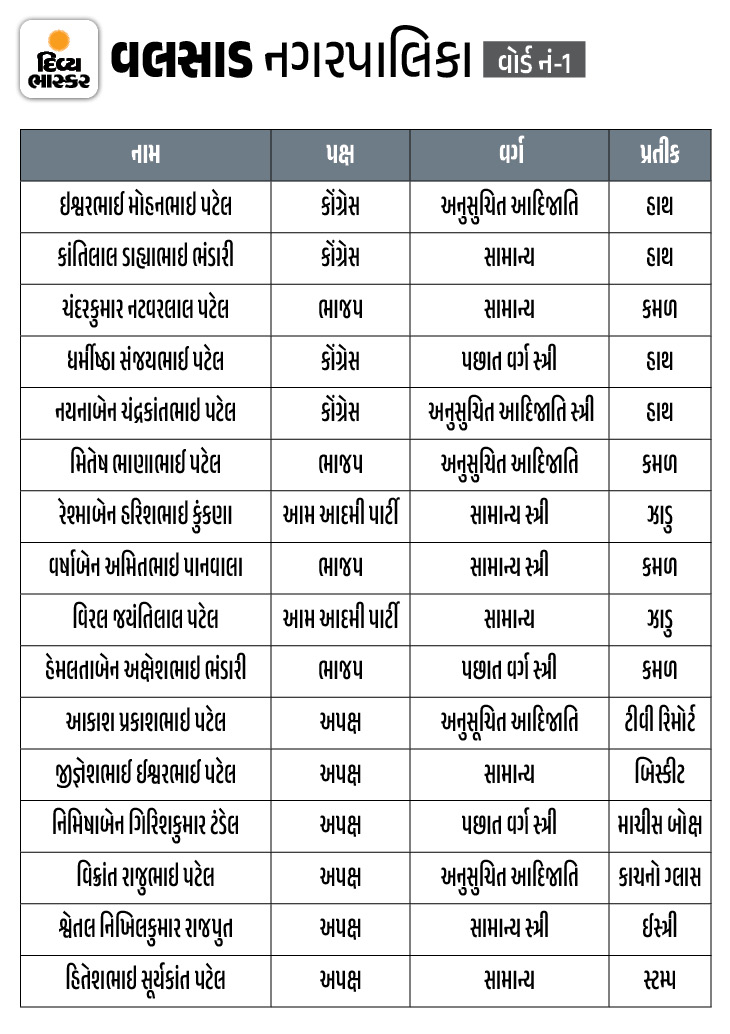 8 seats in 3 municipalities of Valsad district uncontested | સ્થાનિક ...