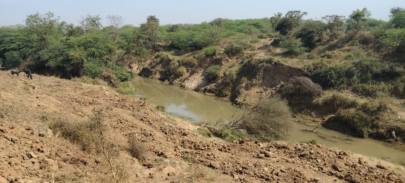 Vishwamitri Project: Buffer Lake to Prevent Vadodara Floods, Completion ...
