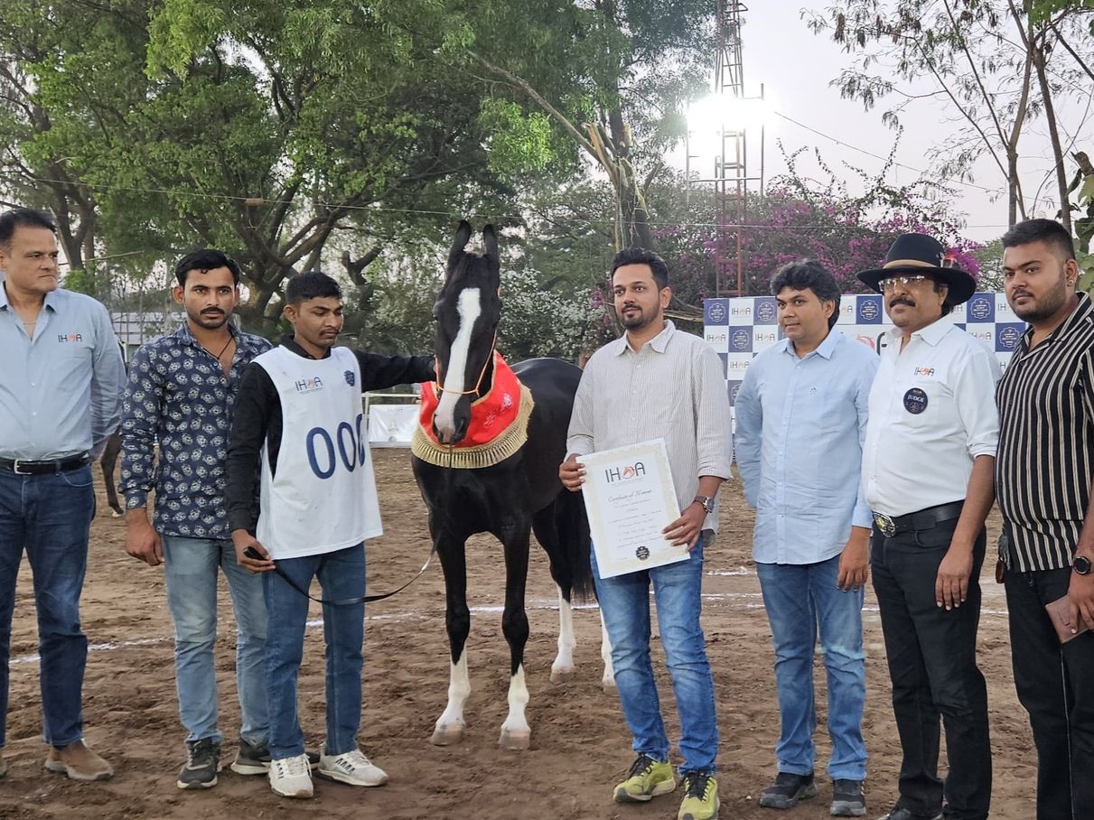 The pride of Bharuch's Marwari Afrin mare