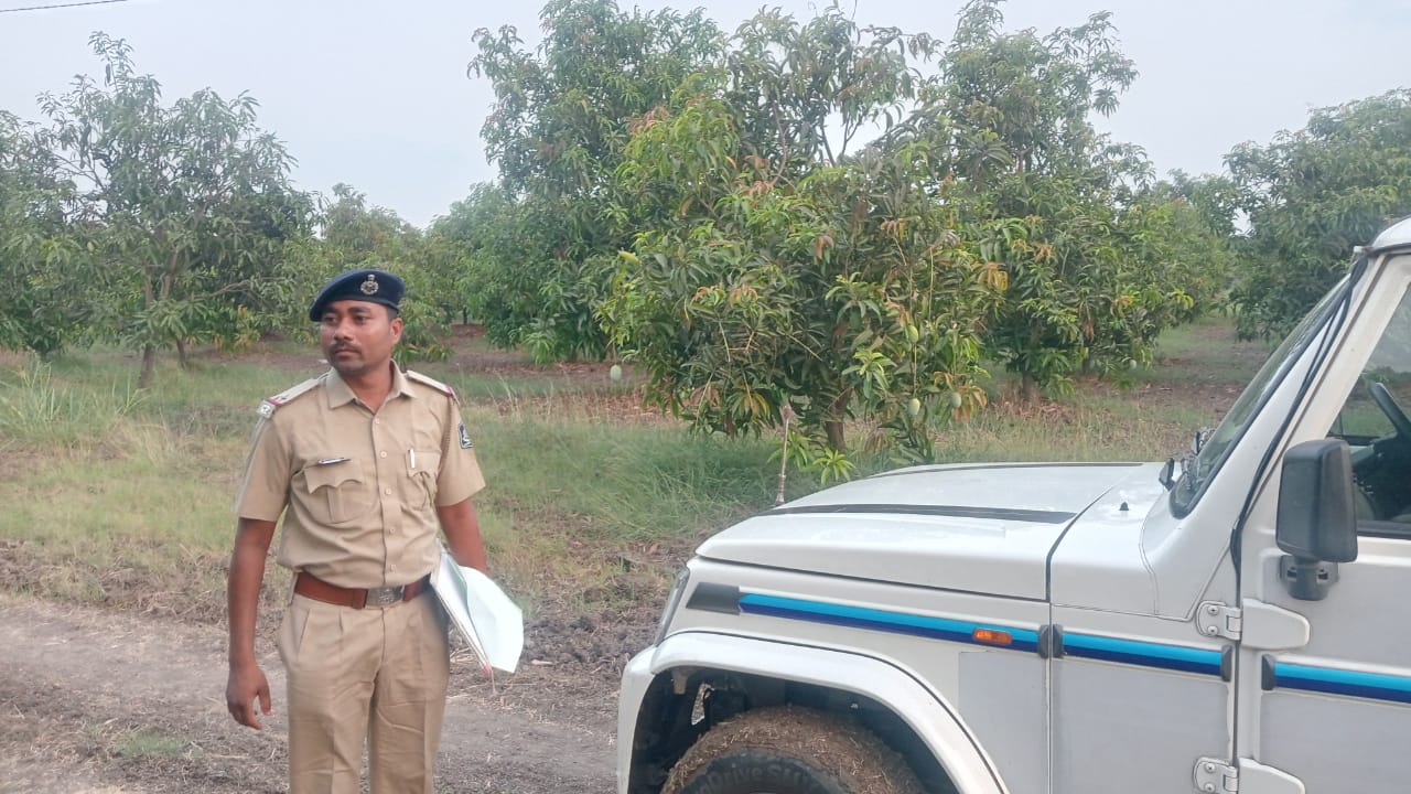 Police patrolling started in Navsari East area on complaint of mango ...
