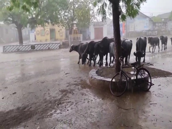 Thunderstorms lashed many areas of the city, bringing down the temperature