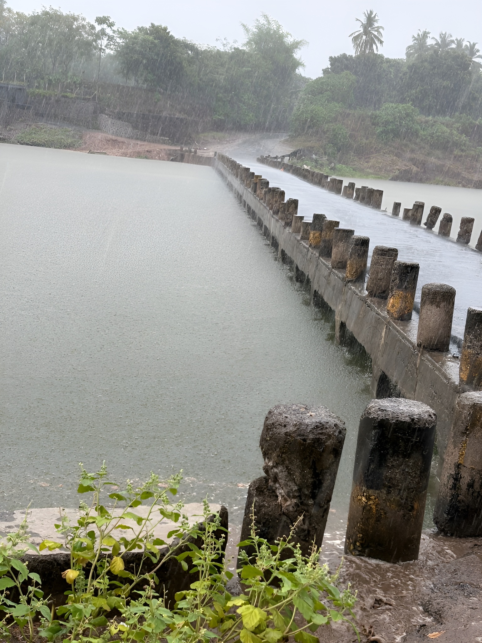 The river water reached only 1 foot below the Kurel Bridge. | લોકોમાં ...