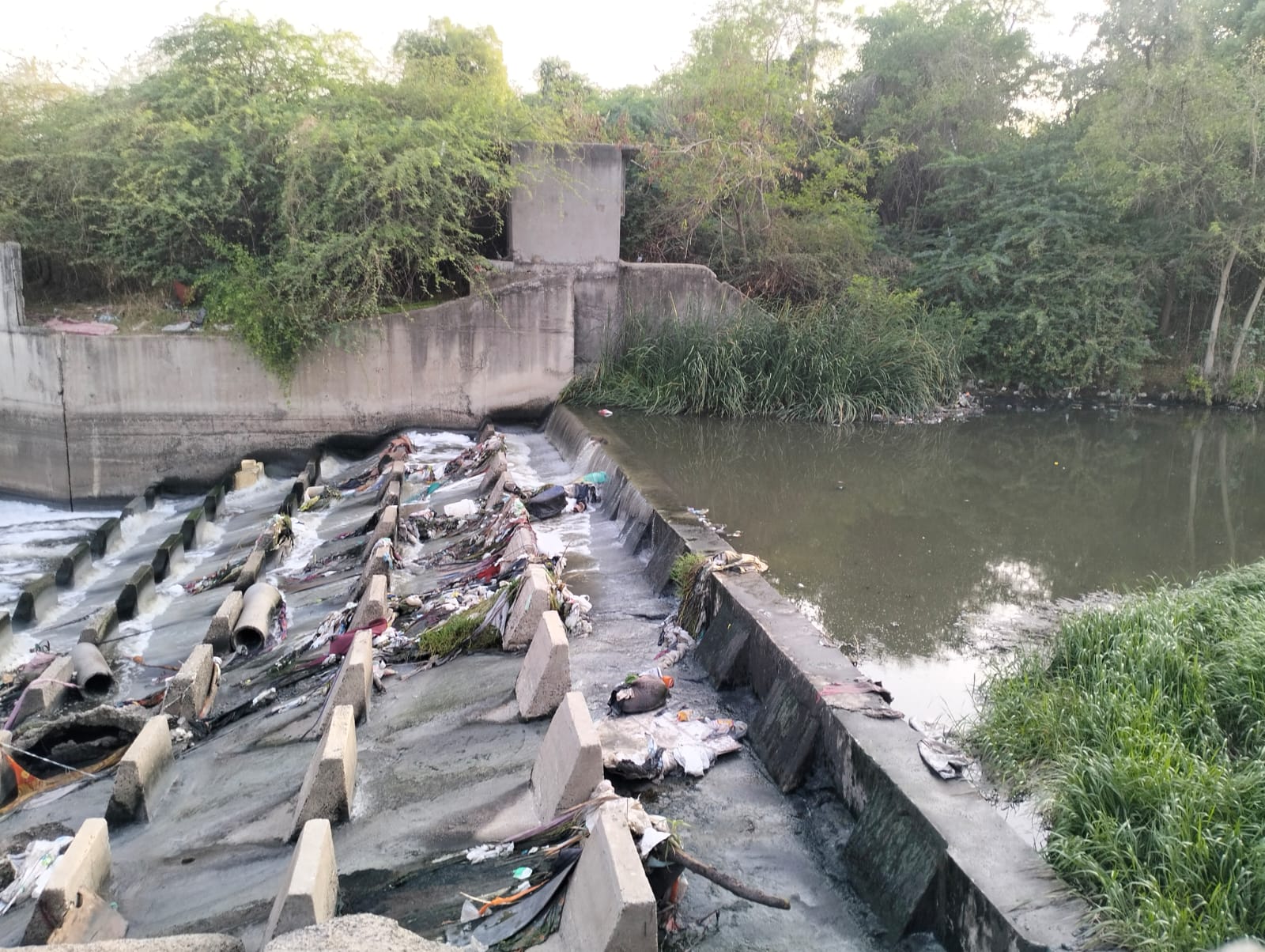 Sabarmati river cleaning will begin from tomorrow