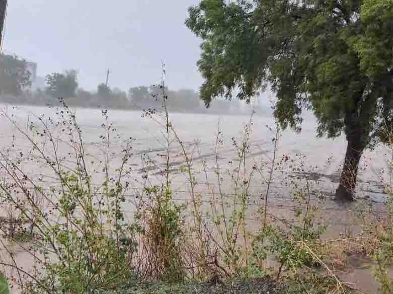 Advance preparation for monsoon in Amreli district | અમરેલી જિલ્લામાં ...
