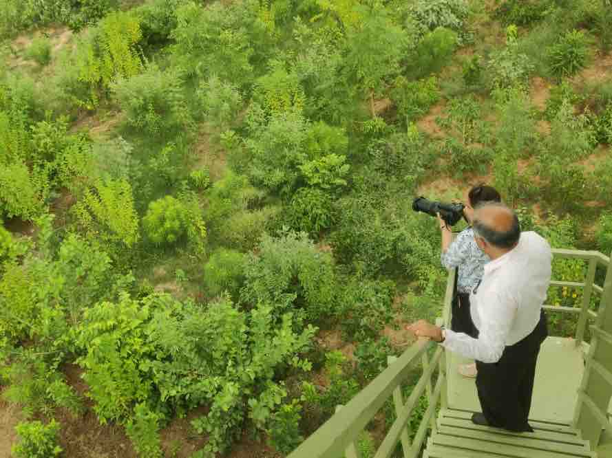Patan Forest Department; Collector Visits Van Kavach Butterfly Garden