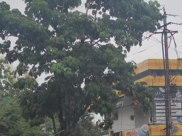 Navsari District Last 24 Hours Widespread Rain Rain District Atmosphere ...