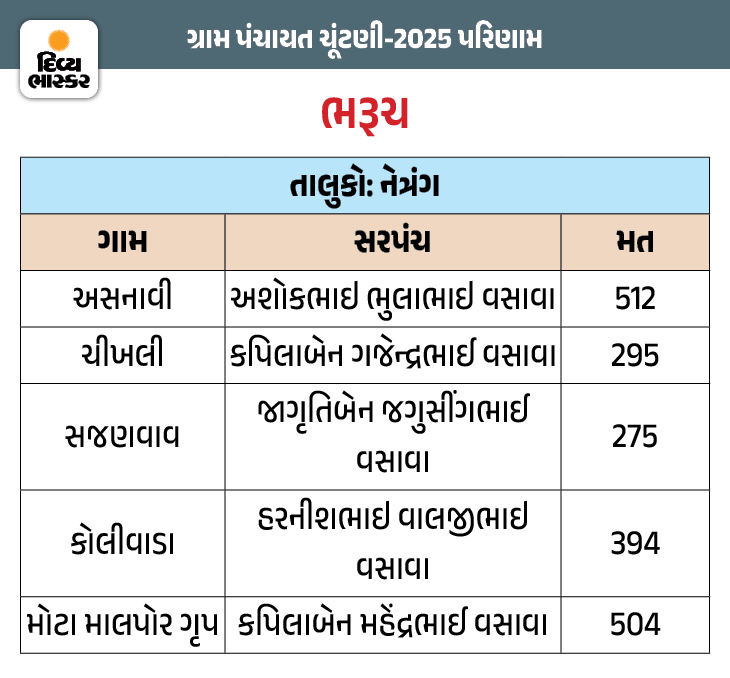 Gujarat Gram Panchayat Election Results Declared; South Gujarat 7 ...