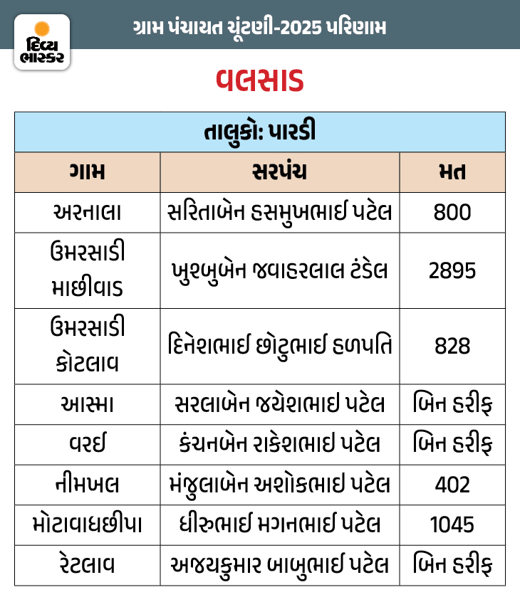 Gujarat Gram Panchayat Election Vote Counting Underway | દક્ષિણ ...