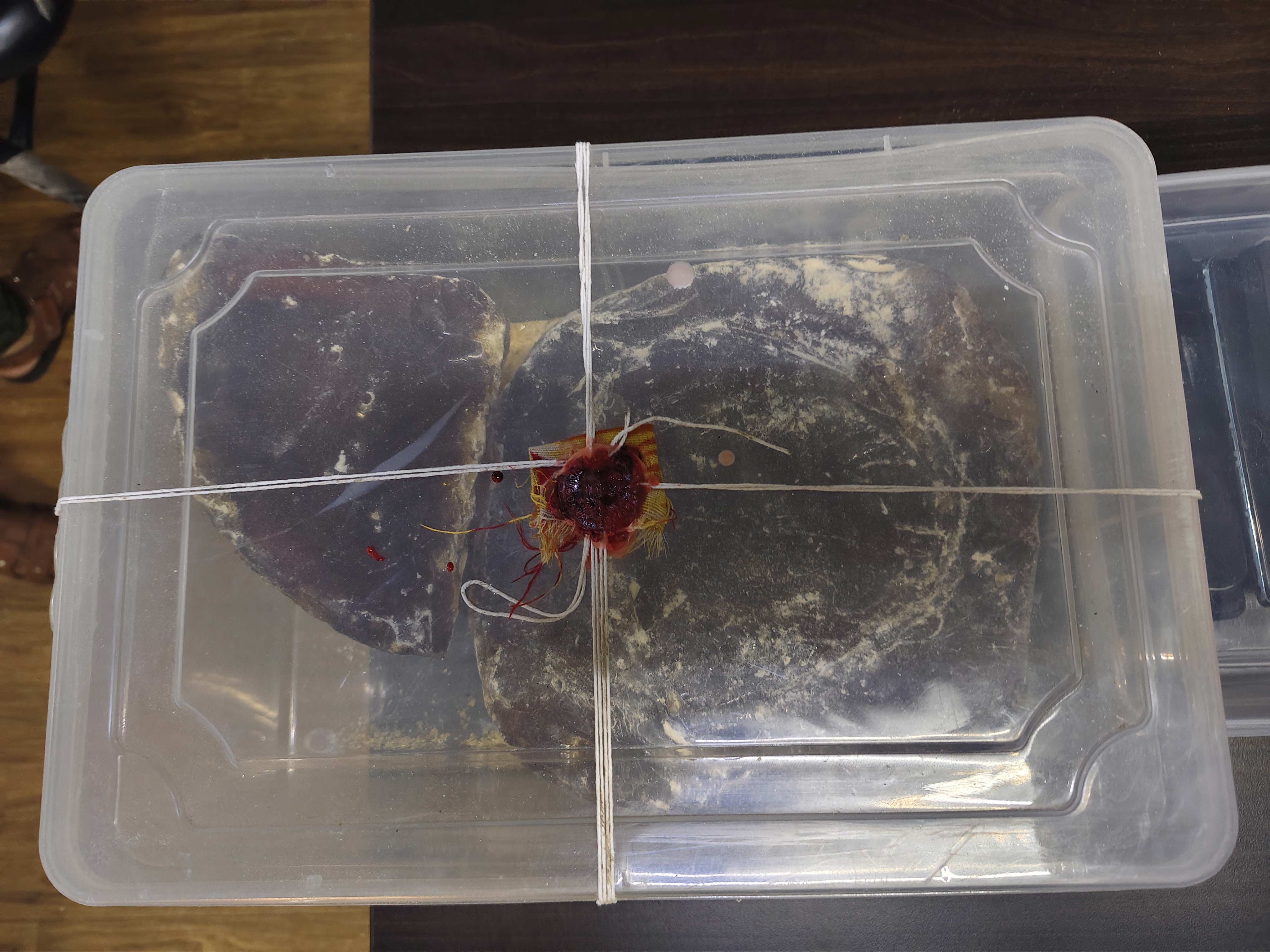 Vadodara Ambergris Smuggling Case; 5 KG Ambergris Seized, Six Arrested ...