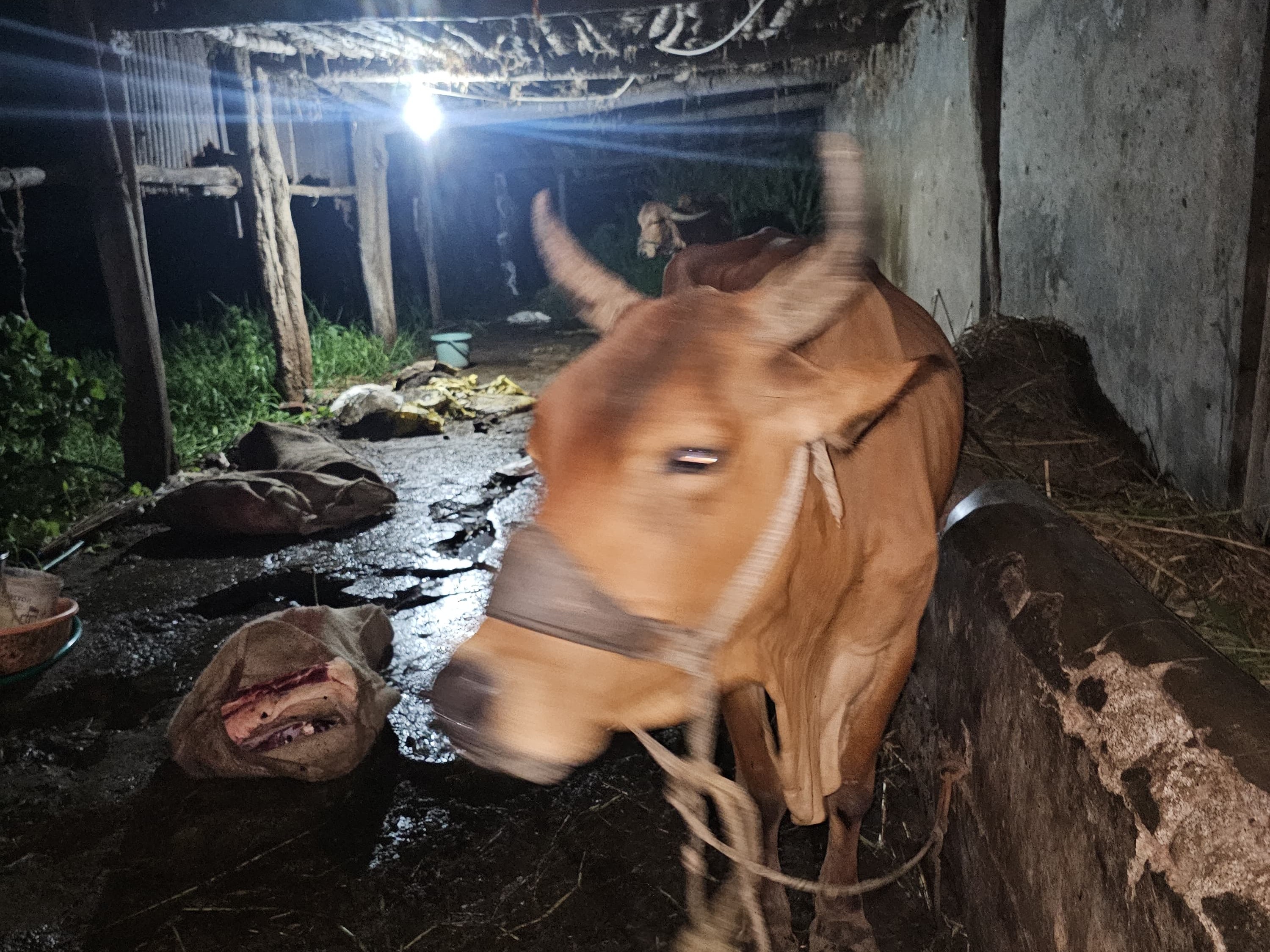 Police action based on information in Navsari | નવસારીમાં બાતમીના આધારે ...