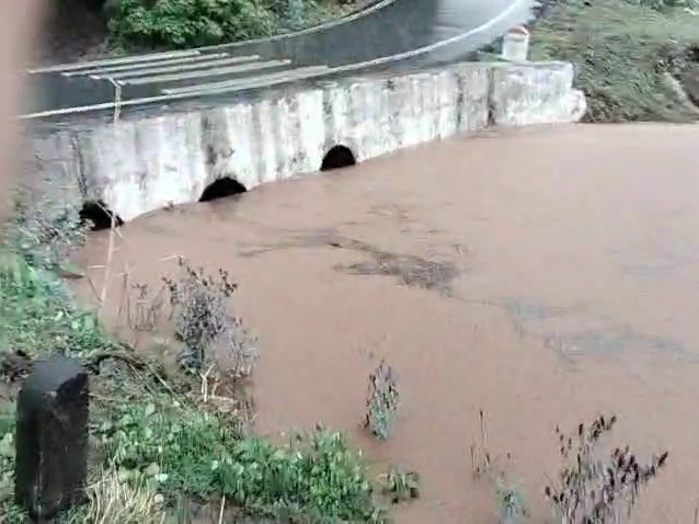 Valsad District Rain Update: Kaprada Taluka Records Highest Rainfall | વલસાડ જિલ્લામાં વરસાદી ...
