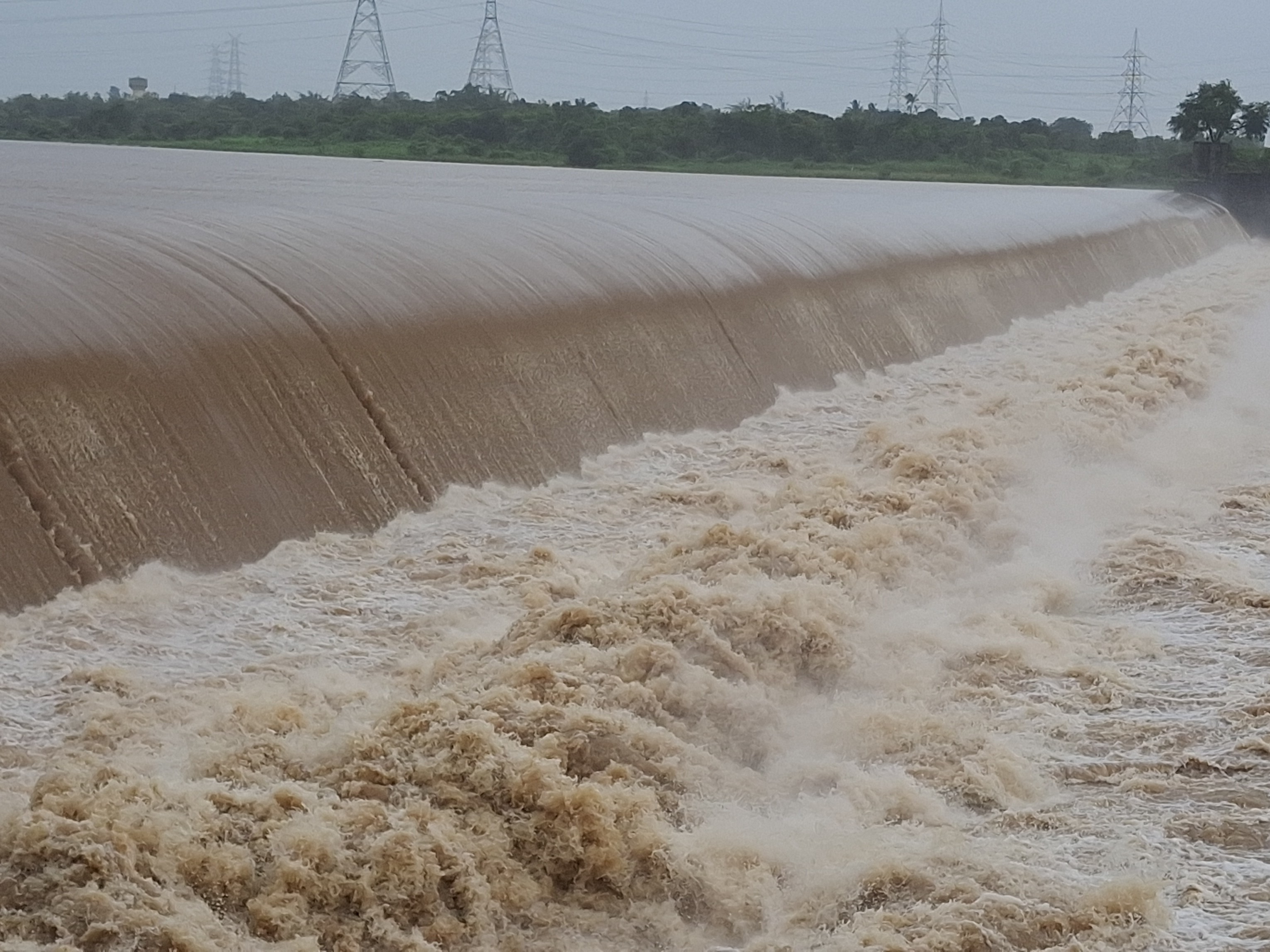 Madhuban Dam Water Level Rises; 7 Gates Opened, Flood Alert