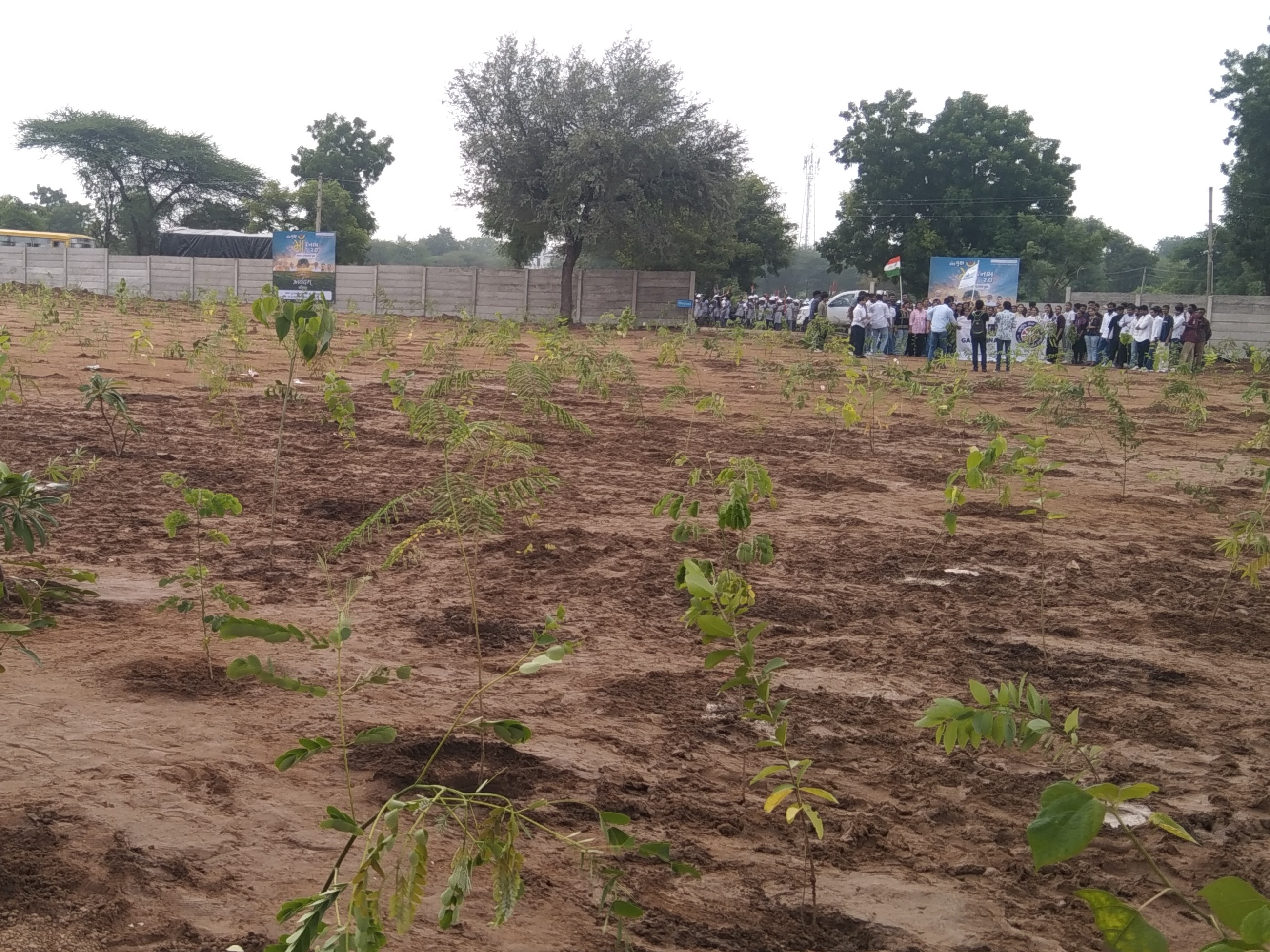 Kalol Dantali Ek Vruksh Maa Ke Naam Plantation Mukesh Patel Harsh Sanghavi